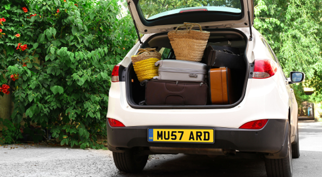 European car insurance - Mustard