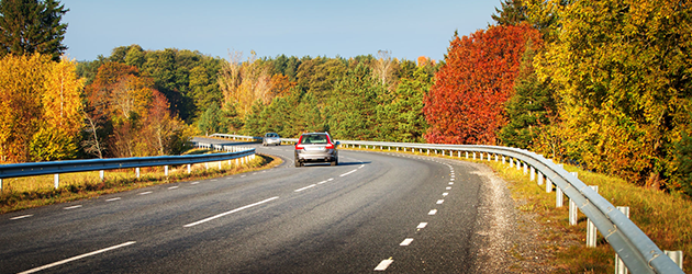 Autumn driving tips - Mustard